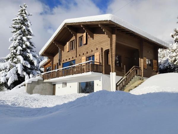 Chalet Beau-site Anzère - Anzère