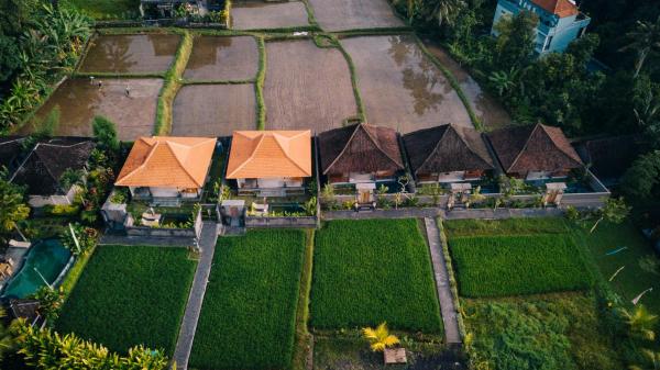 Hidden Puri Private Villa & Cooking Class - Ubud