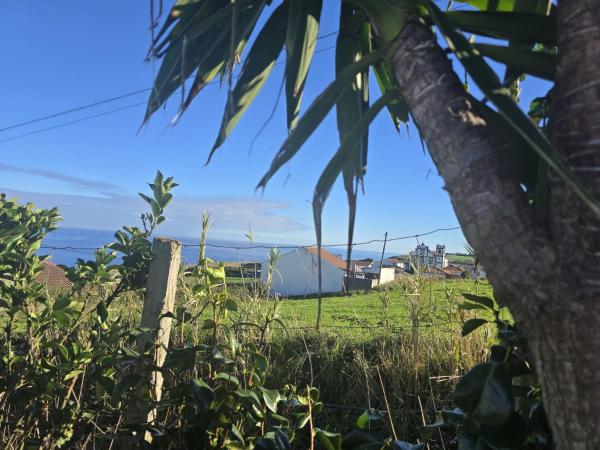 Recanto Vital - Furnas