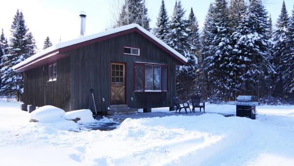 Meadowlark Cabin #5 - Ontario