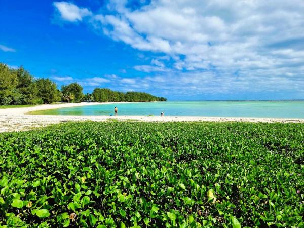 Natura Nikao Beachside 3bm Villa - Rarotonga