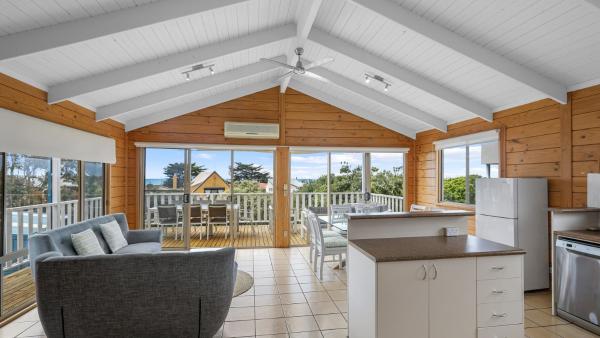 Dolphin - Apollo Bay