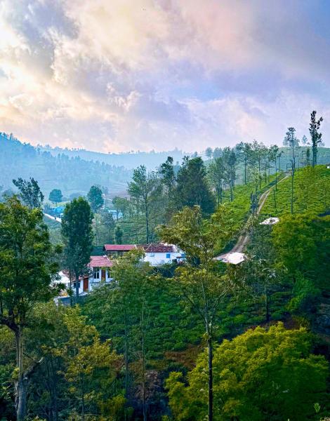 Mad & Nomad Backpackers Hostel - Coonoor