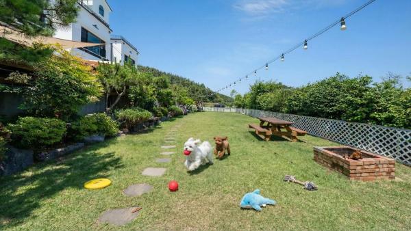 Namhae Ryu&lee Pet Pension - Namhae-gun