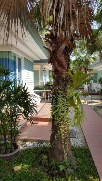 Vipha Ville Resort - Thailandia
