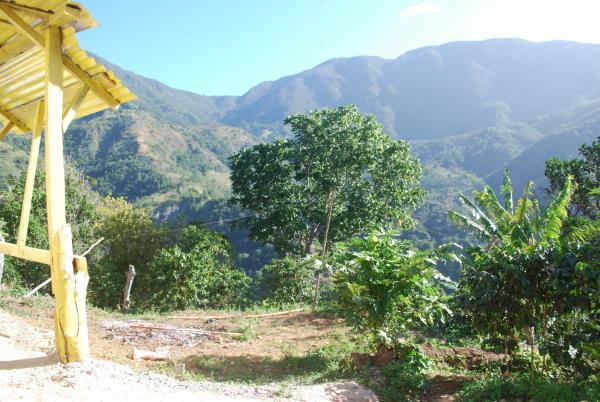 Jay's Guest House - Jamaica