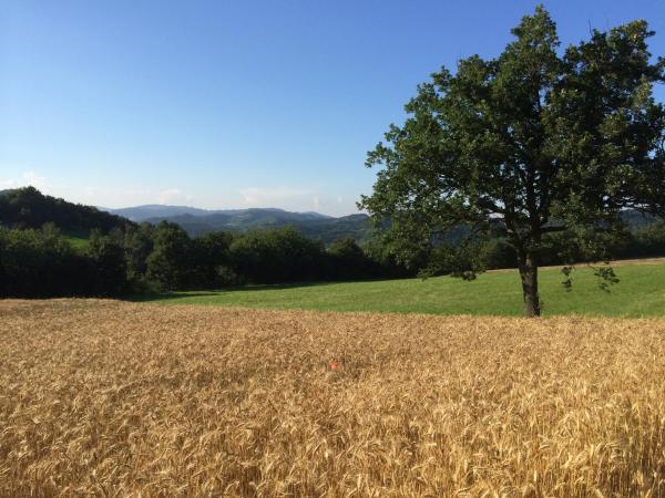 I Calleri Garden And Rooms - Provincia di Savona