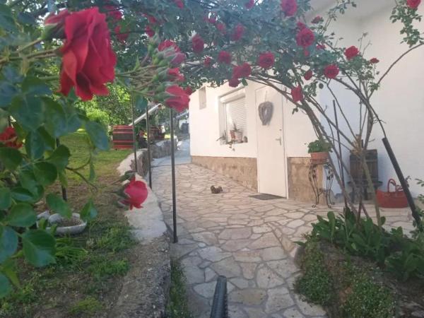 Rózsamorzsa Vendégház Szerencs - Tállya