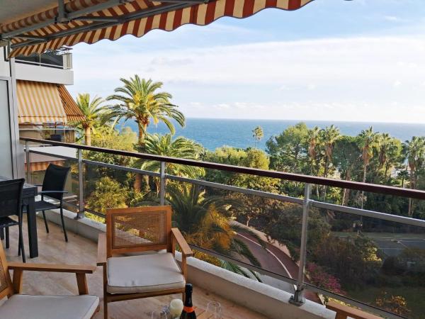 Splendid Sea View 4 People Pool Wifi Air Conditioning Parking - Palm Beach Cannes