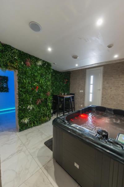 Cinéma Room Avec Jacuzzi Privatif - Aéroport de Marseille Provence (MRS)