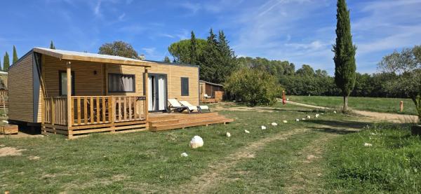 Camping - Piscine - Ccbbaah - France