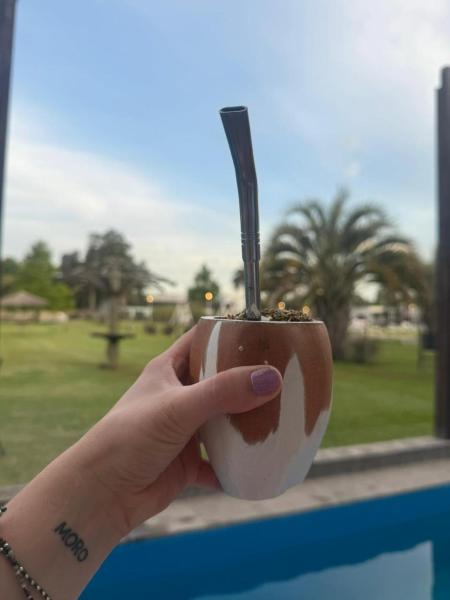 Complejo Bohio - Lobos