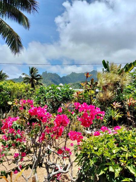 Herons Reef Holiday Apartments - Rarotonga