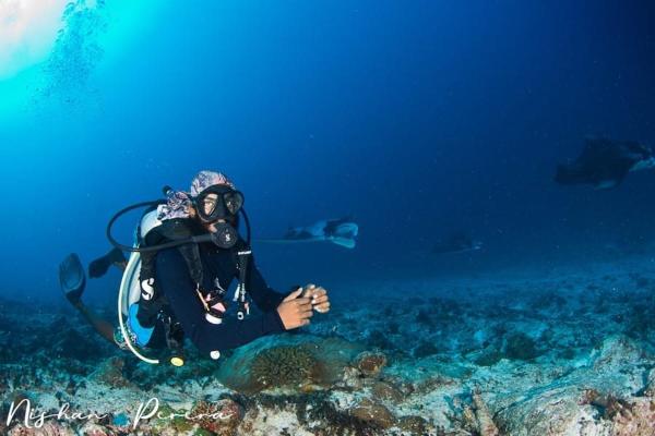 Addu Scuba Dive - Maldives