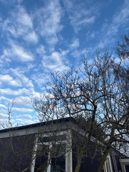 Haus Am See - Hamburg