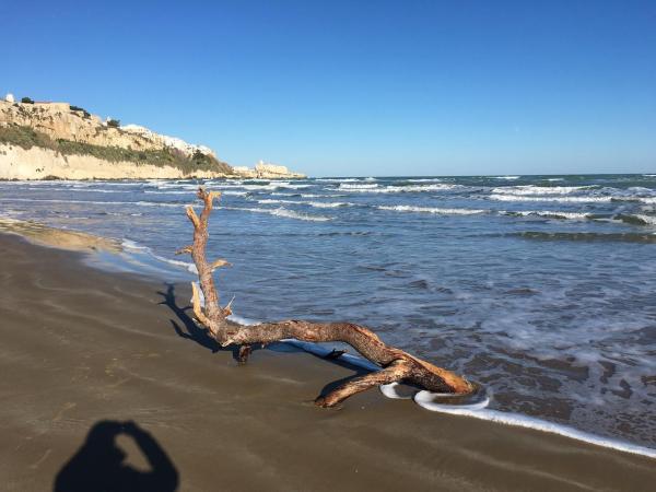 Medieval Terraced House In Vieste Vecchia - Vieste