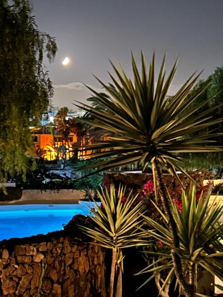 The Cucharas Beach - Costa Teguise