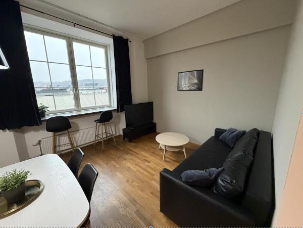 Moderne Og Møblert 2-roms Leilighet I Hjertet Av Oslo - Oslo