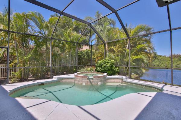 Mango - Bradenton, FL