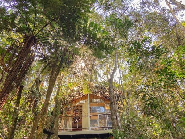 Cabana Floresta Amada - Ouro Preto