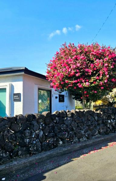 Soonbigi 순비기 Jeju Stone House In Seogwipo - Seogwipo-si