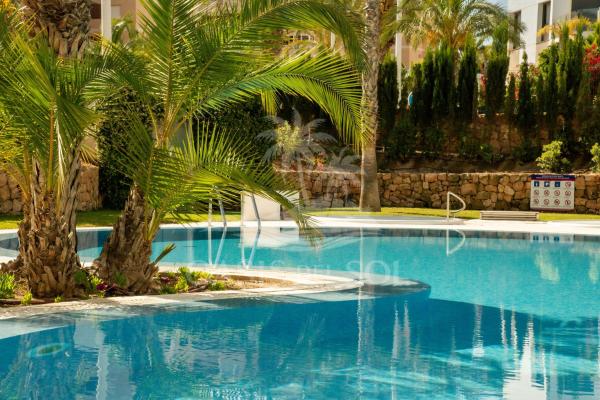 Sunny Place Oasis Del Sol - Torrellano