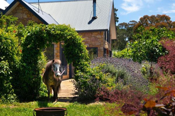 The Pony Lodge - Daylesford