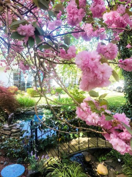 Vacation Paradise - Shelton Vineyards, Dobson