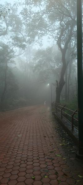 Wooden Cottage - Matheran