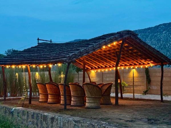 The Cub Sariska - Rajasthan