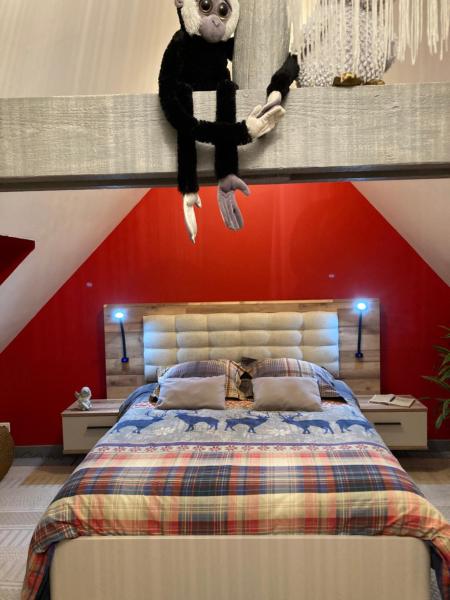 Le Petit Secret Au Pied Du Zoo - France