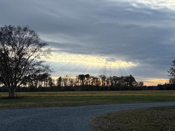 Eagles Nest Beachfront Property - Hampton