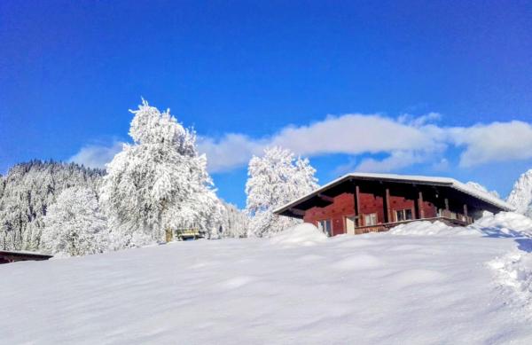 Ferienwohnung Schösserhof - Kitzbuhel