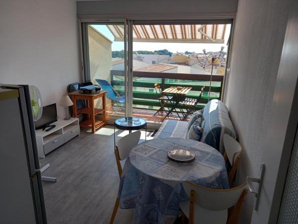 La Baleine Rose, T2 Vue Dégagée Sur Le Centre Port - Agde