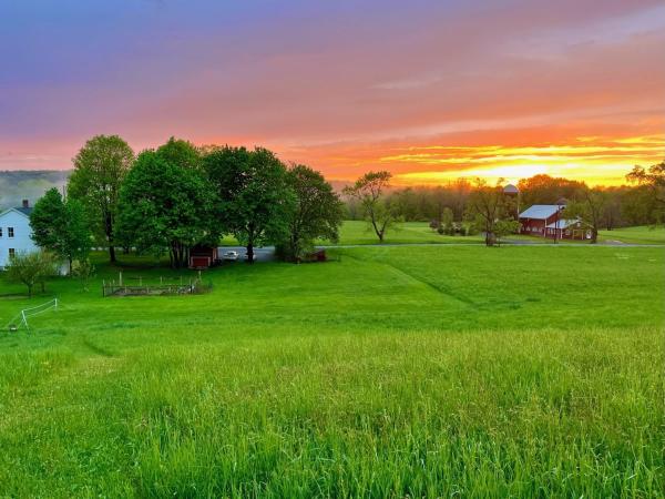 Gorgeous Hudson Valley Farmhouse On 14 Acres Home - Nassau, NY