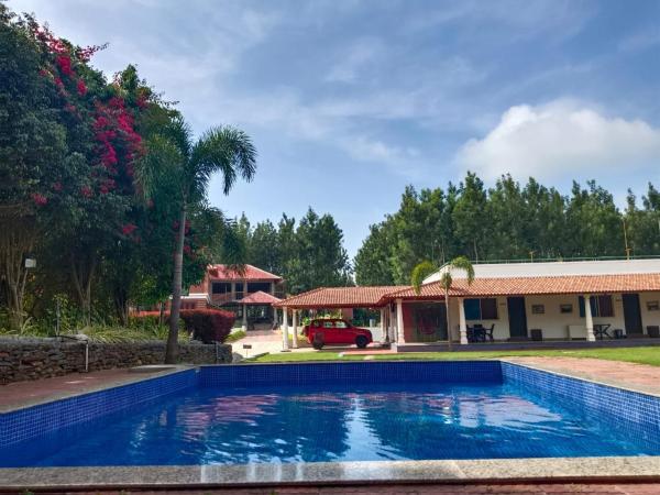 Bougainvillea - Chikmagalur