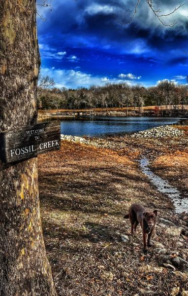 The Lodges At Fossil Creek - Pottsboro, TX