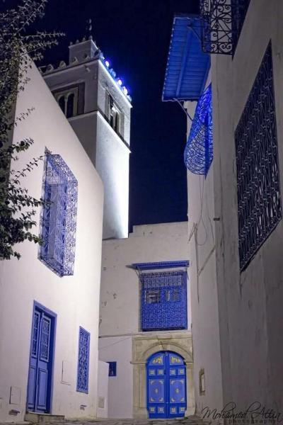 Loft Au Village De Sidi Bou Said - Tunisia