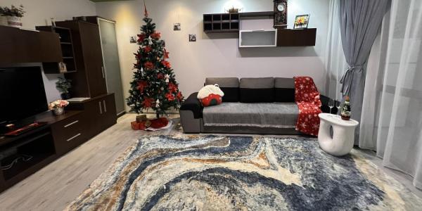 Ana Lux Apartments Brasov - Brassó