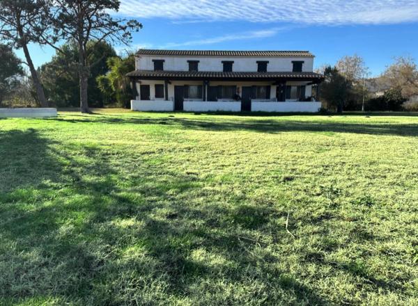 Le Sauvage - Camargue