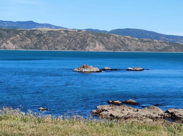 Breaker Bay Paradise - Wellington