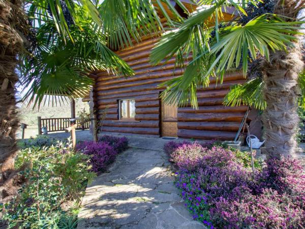 Chalet Confortable Au Bord D'un éTang à Dussac - Fr-1-616-72 - Saint-Yrieix-la-Perche