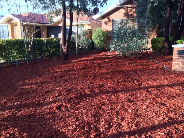 Canberra Stylish Retreat - Canberra