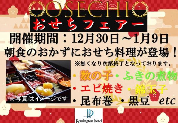 Remington Hotel - Akashi