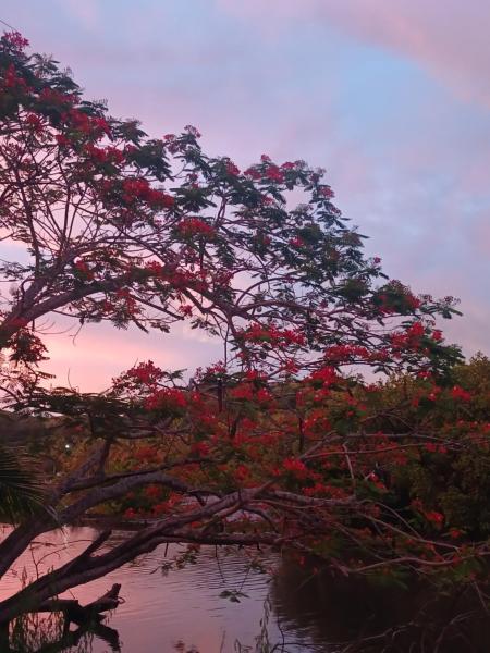 Seaside Backpackers Home-stay Airport Shuttle - Fiji