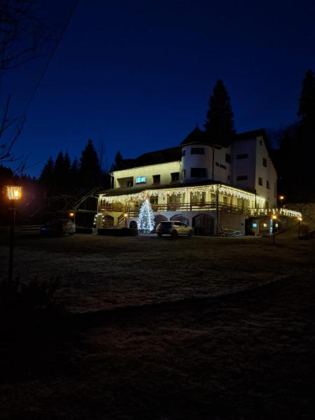 Vila Apuseni - Vârtop