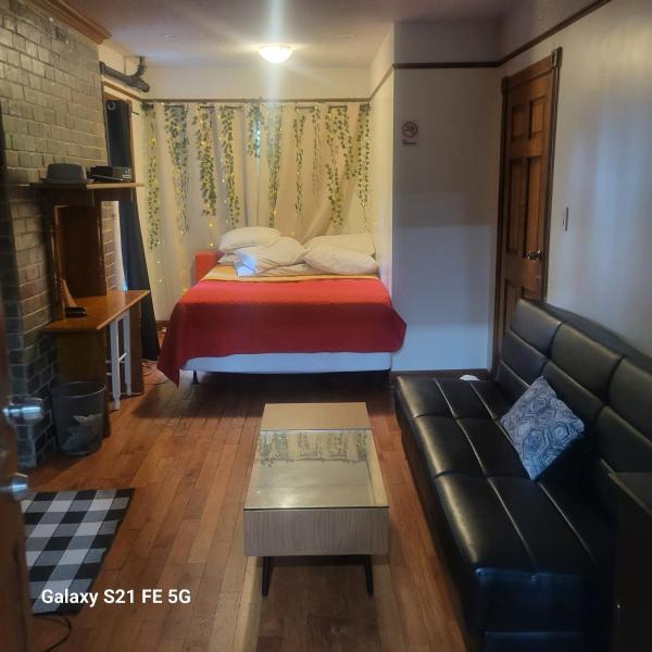 Brooklyn Beautiful Studio Apartment - New York City