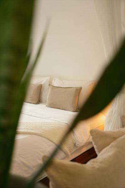 Big Tree Boutique Hotel - Ko Tao