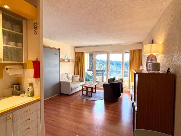 Charmant Studio Cabine Sur Les Pistes à Villard-de-lans - Fr-1-761-51 - Villard-de-Lans