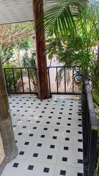 Tultle Beach Bar - Thai Mueang